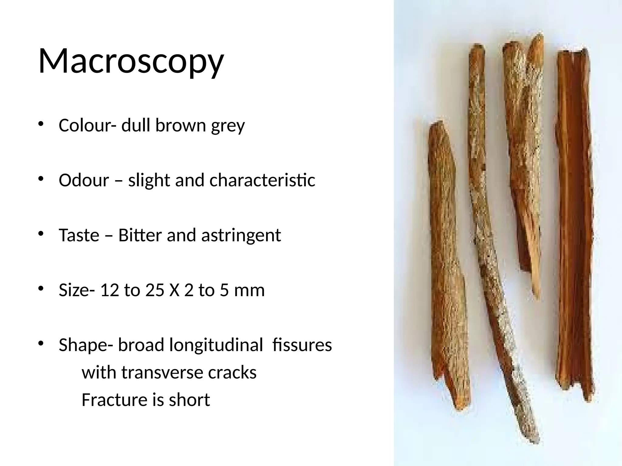 cinchona-alkaloid , source,macroscopy, microscopy,chemical test,uses | PPTX