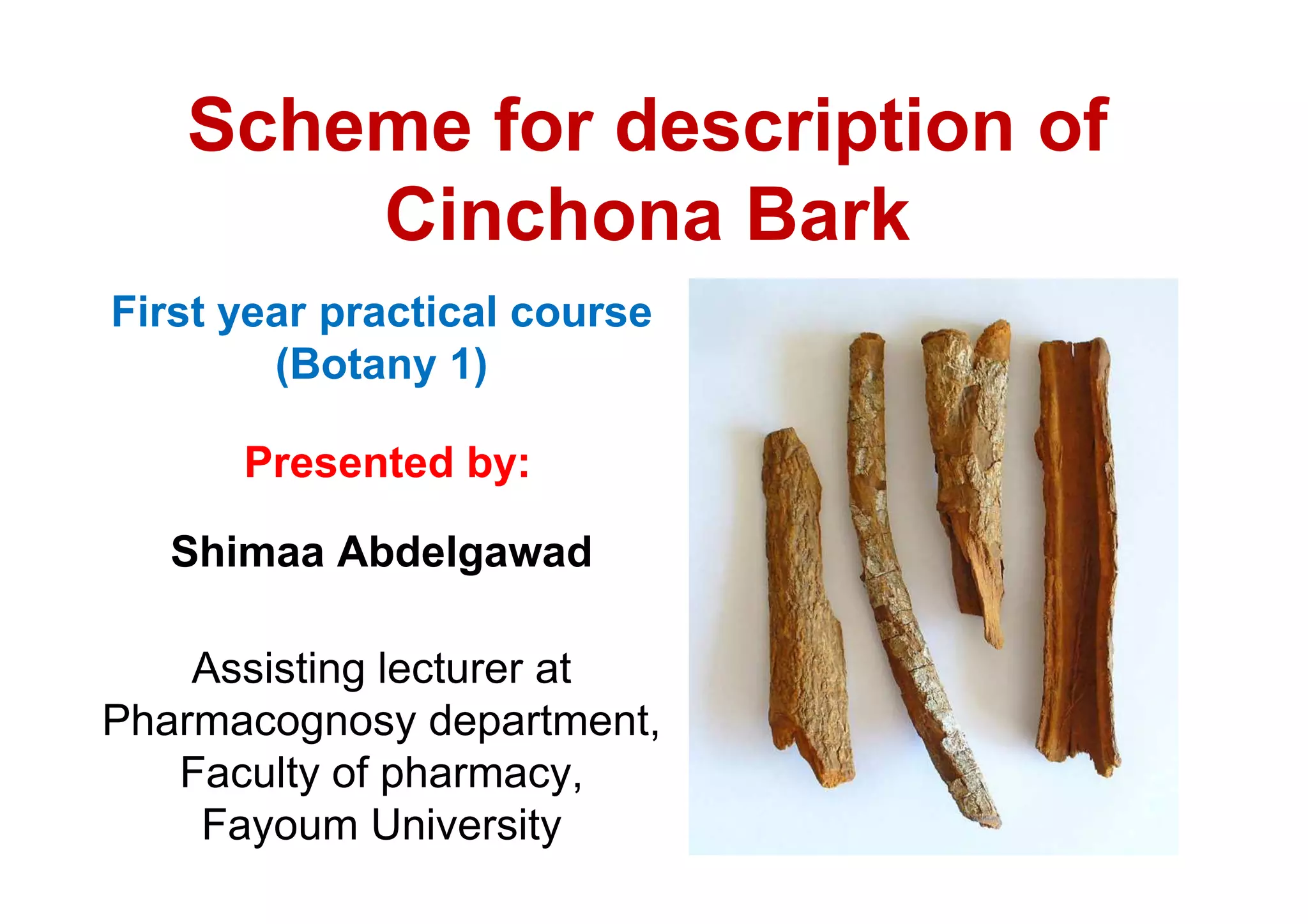 Scheme for description of Cinchona Bark | PDF