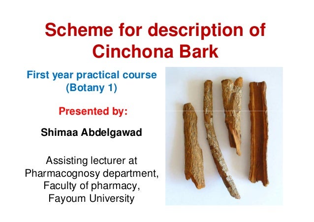 Scheme For Description Of Cinchona Bark