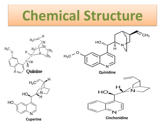 Cinchona by Mr. Mohit | PPTX | Chemistry | Science