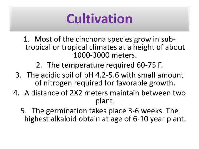 Cinchona by Mr. Mohit | PPTX | Chemistry | Science