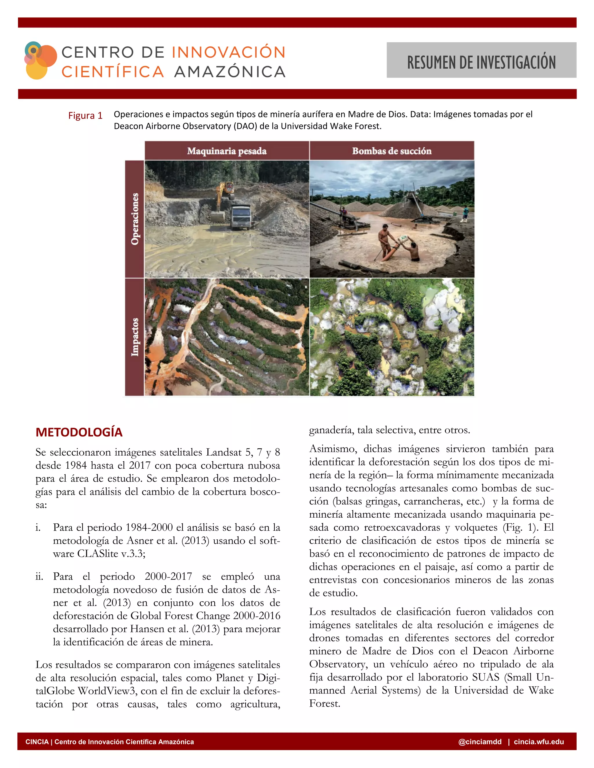 Cincia research-brief-1-three-decades-of-deforestation | PDF