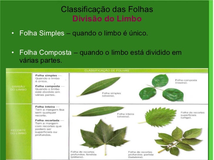 Ciências da natureza3