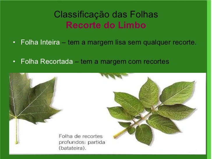Ciências da natureza3