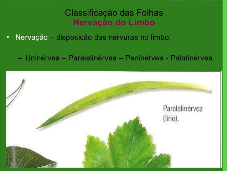 Ciências da natureza3