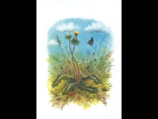 Cinderella skeleton | PPT