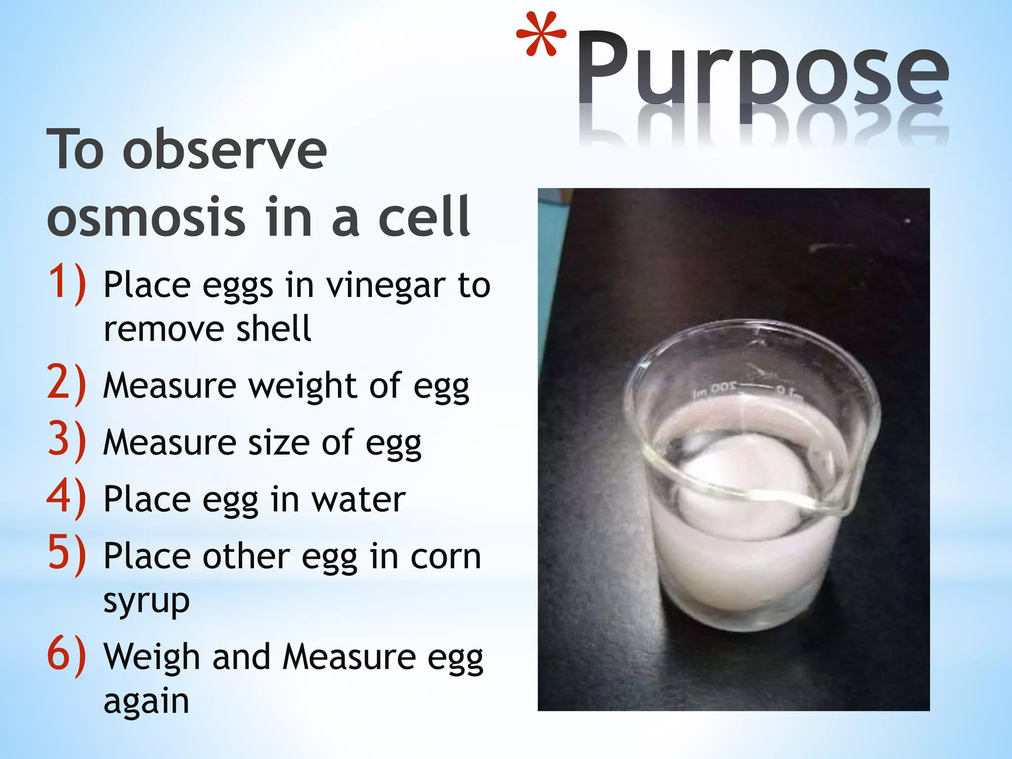 Cindy Egg Osmosis Experiment | PPTX