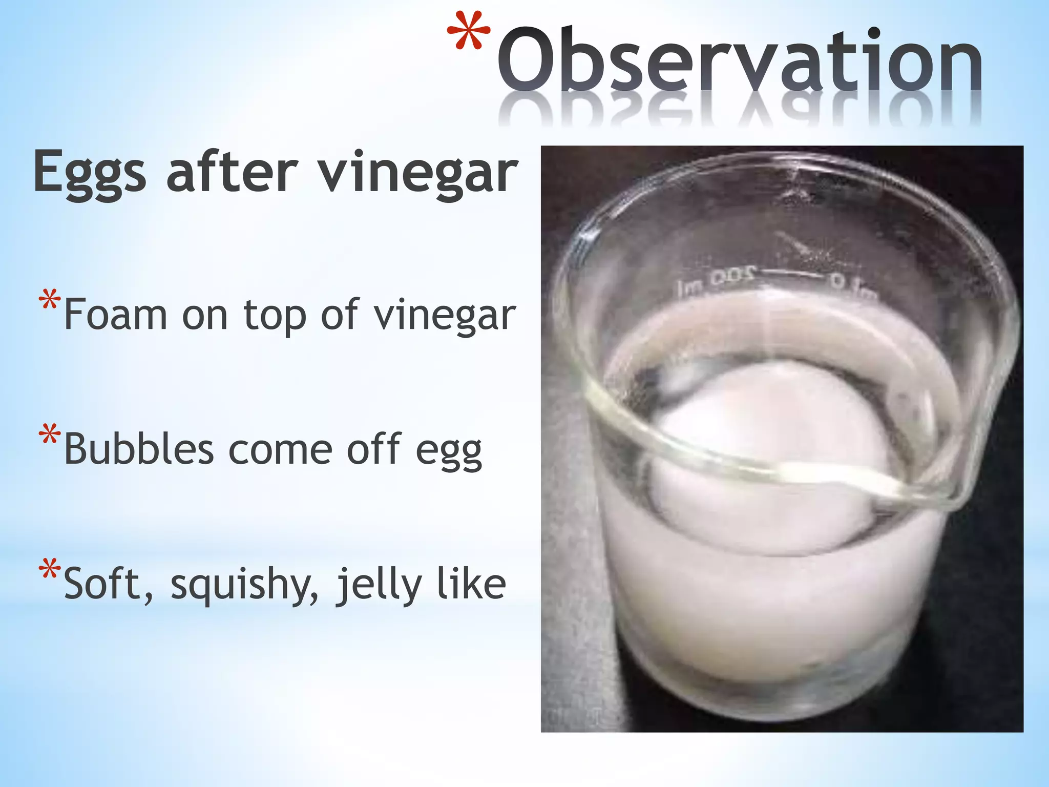 Cindy Egg Osmosis Experiment | PPTX