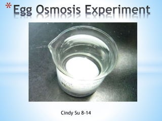 Cindy Egg Osmosis Experiment | PPTX
