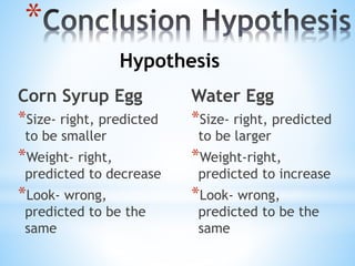 Cindy Egg Osmosis Experiment | PPTX