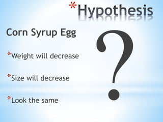 Cindy Egg Osmosis Experiment | PPTX