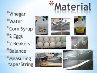 Cindy Egg Osmosis Experiment | PPTX