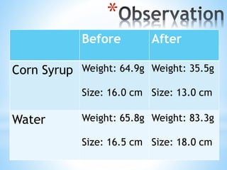 Cindy Egg Osmosis Experiment | PPTX