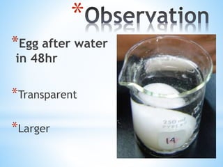 Cindy Egg Osmosis Experiment | PPTX