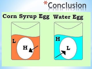 Egg Osmosis Diagram