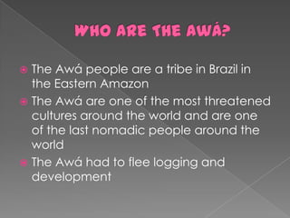 Cindy the awá (guajá) tribe | PPTX