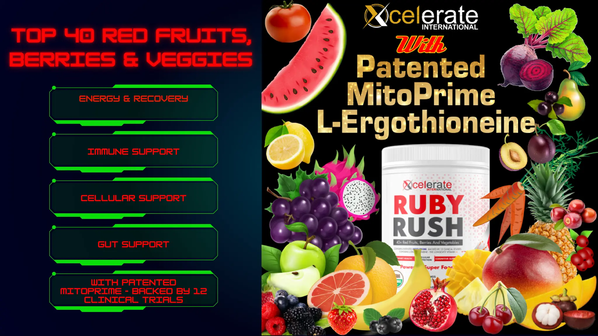 XCELERATE INTERNATIONAL PRODUCT SLIDESHOW | PPT