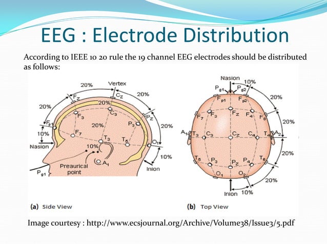 EEG based Motor Imagery Classification using SVM and MLP | PDF | Physics | Science
