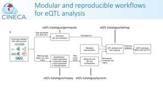 CINECA webinar slides: Modular and reproducible workflows for federated molecular QTL analysis | PDF