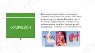 CINEMATICA DEL.pptx