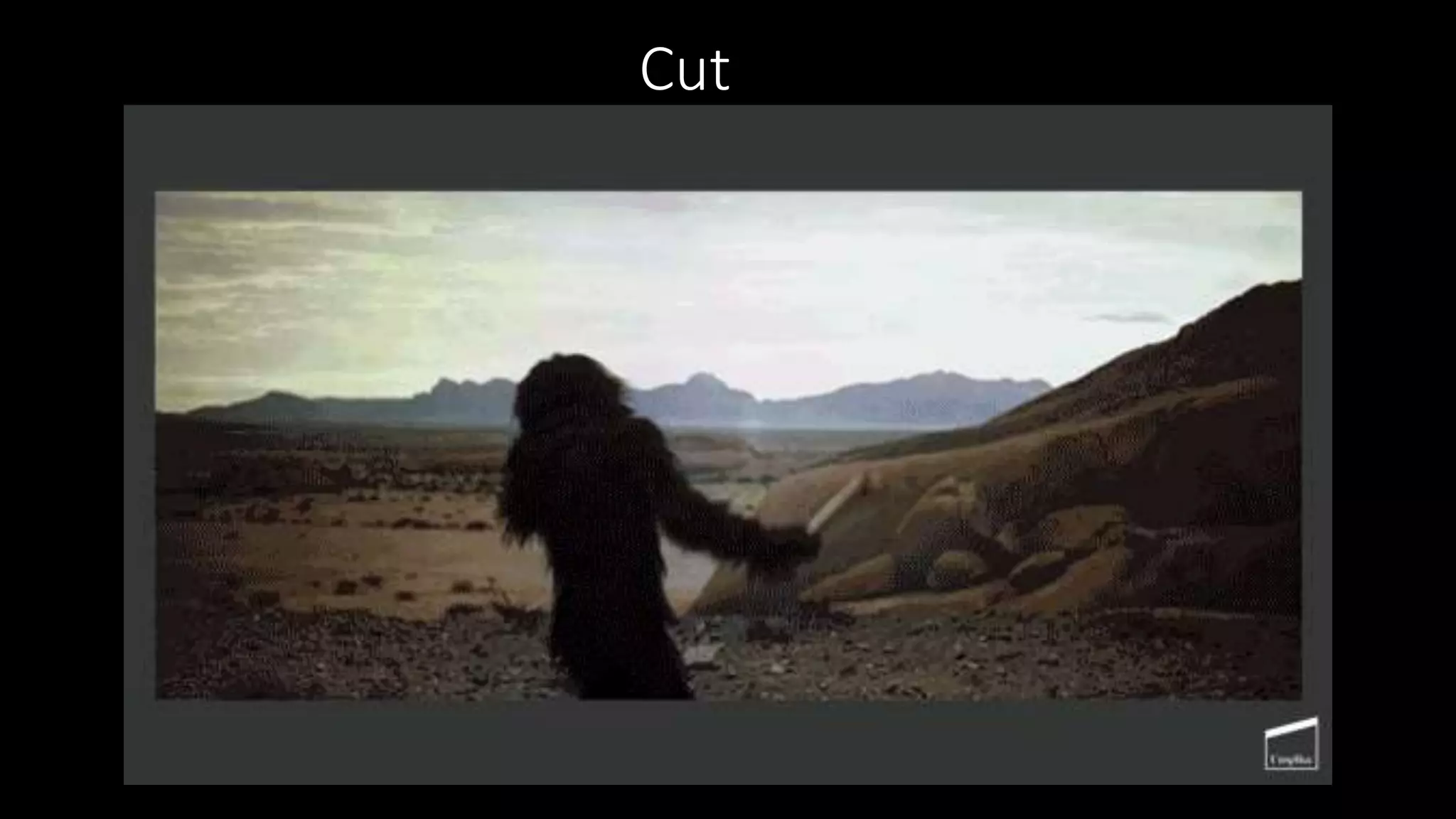 Cinematic Devices yr 10.pptx