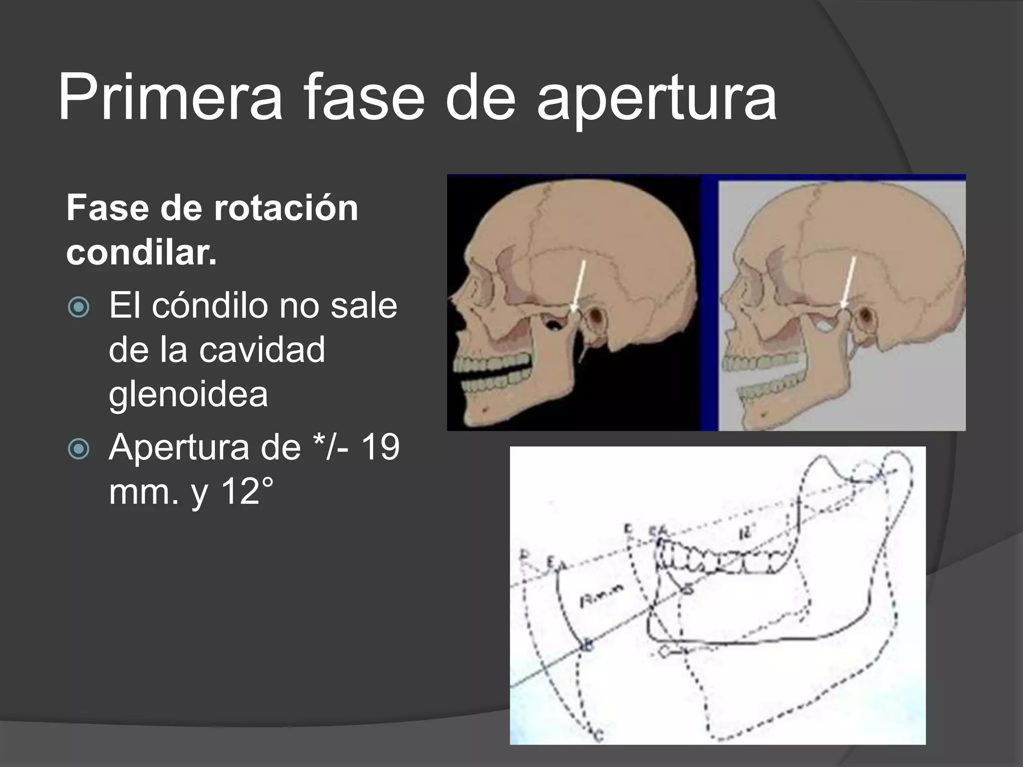 Cinemática del movimiento mandibular | PPTX