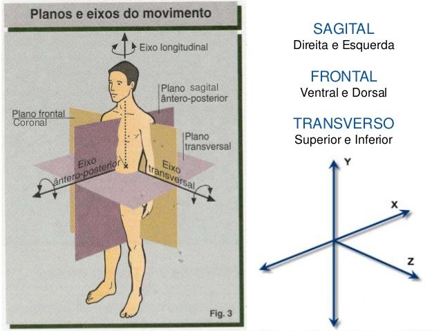 Cinesio unidade 1 1-conceitos e principios do movimento humano