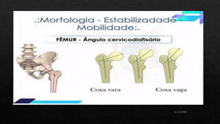 CINESIOLOGIA E BIOMECÂNICA DO MMII (1).pptx