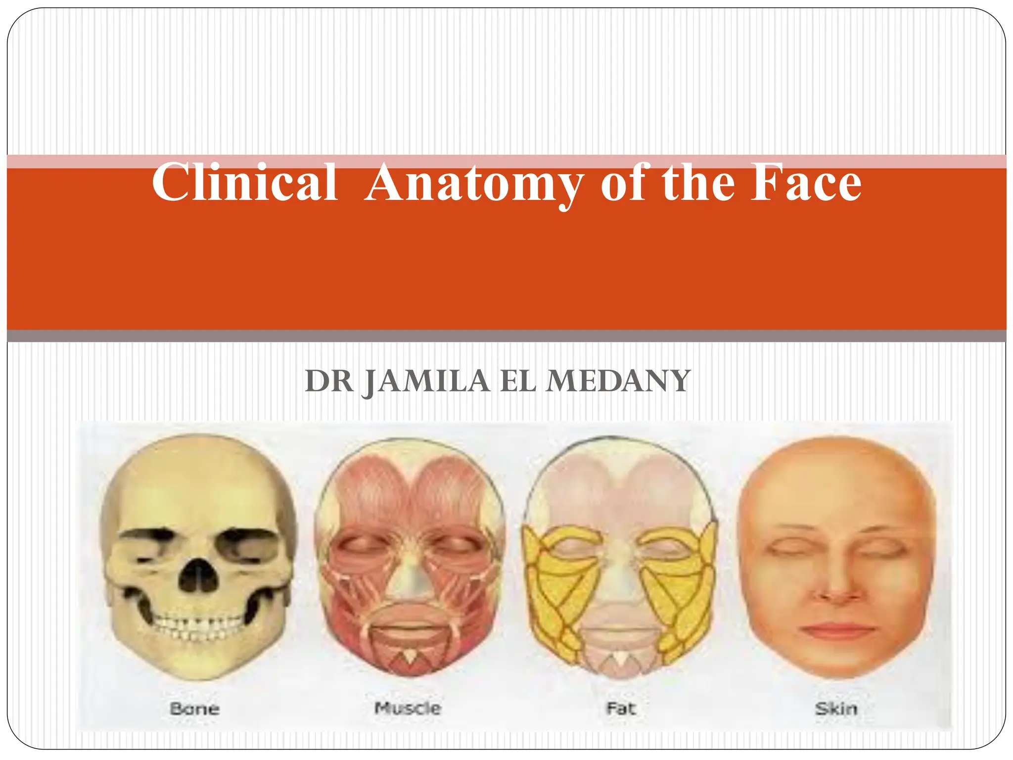 Cinical Anatomy of Face for anatomy studies.pdf