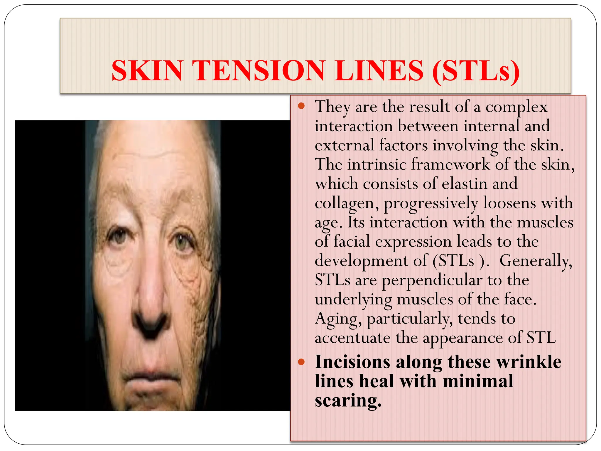 Cinical Anatomy of Face for anatomy studies.pdf