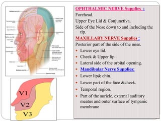 Cinical Anatomy of Face for anatomy studies.pdf