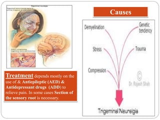 Cinical Anatomy of Face for anatomy studies.pdf