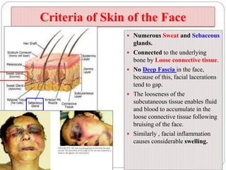 Cinical Anatomy of Face for anatomy studies.pdf
