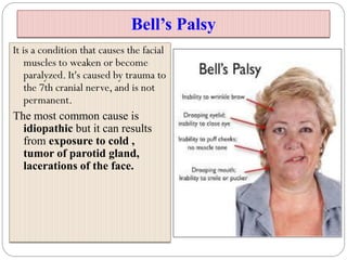 Cinical Anatomy of Face for anatomy studies.pdf