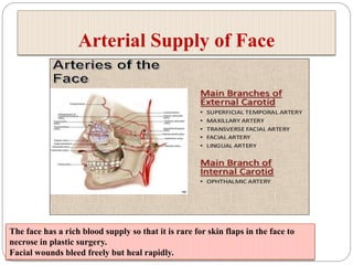 Cinical Anatomy of Face for anatomy studies.pdf