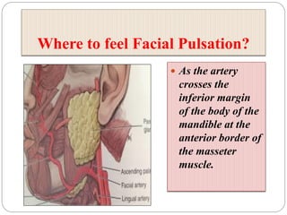 Cinical Anatomy of Face for anatomy studies.pdf