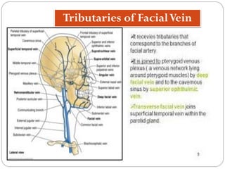 Cinical Anatomy of Face for anatomy studies.pdf