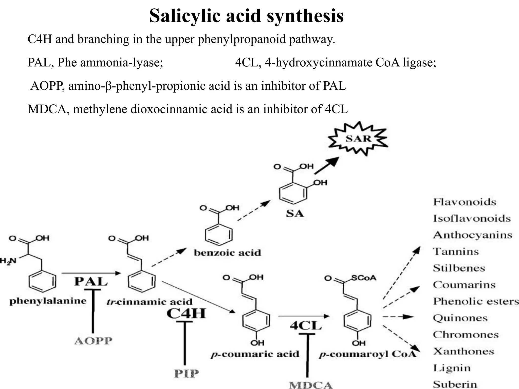 Cinnamic acid, salicylates - mode of action in plant defense mechanism ...