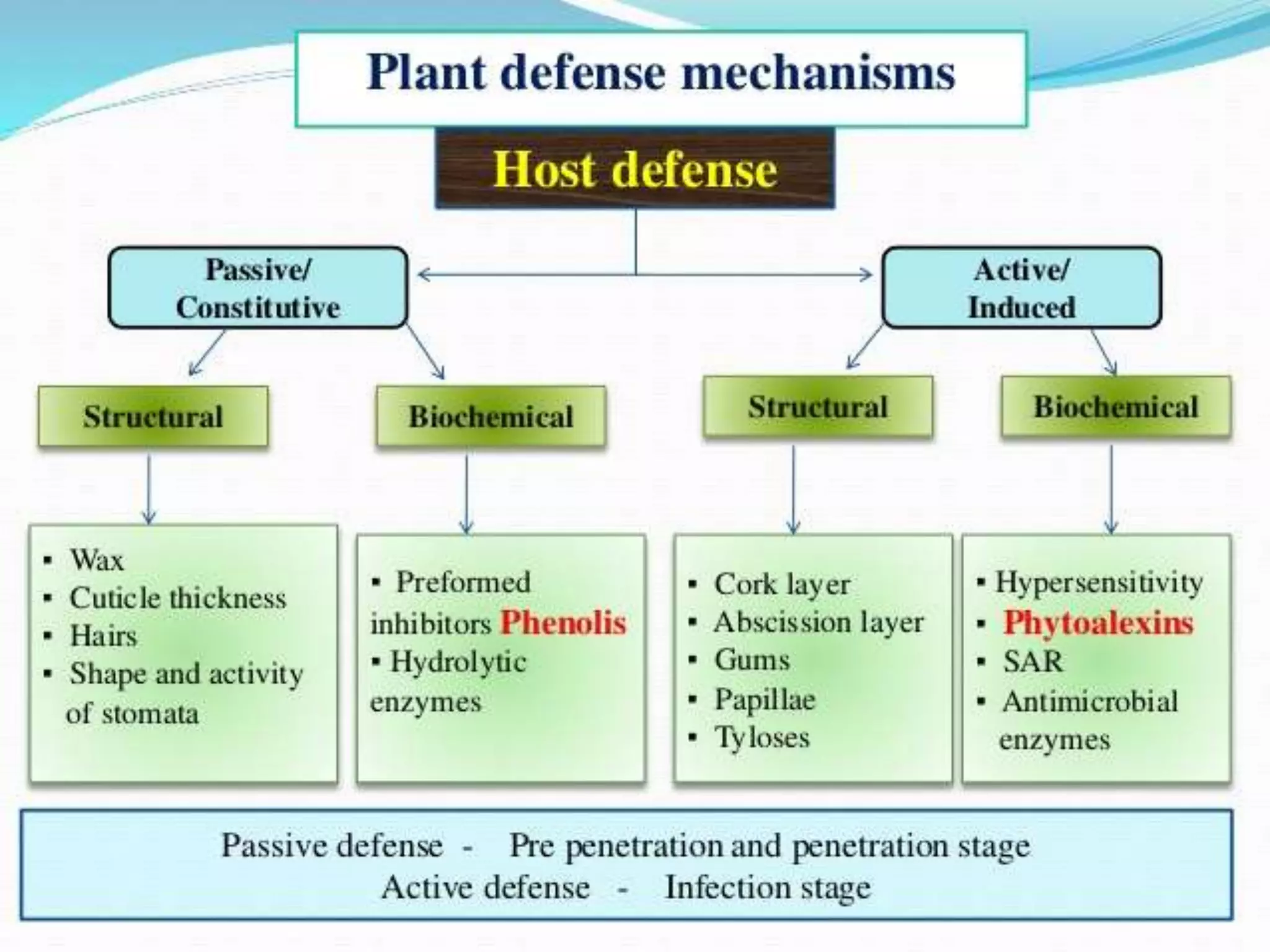 Cinnamic acid, salicylates - mode of action in plant defense mechanism ...