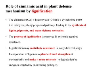 Cinnamic acid, salicylates - mode of action in plant defense mechanism ...