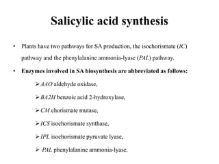 Cinnamic acid, salicylates - mode of action in plant defense mechanism ...
