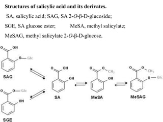 Cinnamic acid, salicylates - mode of action in plant defense mechanism ...