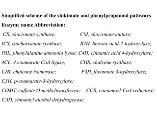 Cinnamic acid, salicylates - mode of action in plant defense mechanism ...