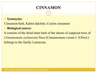 Cinnamon | PPTX