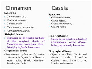 Study of Cinnamon and Cassia | PPT