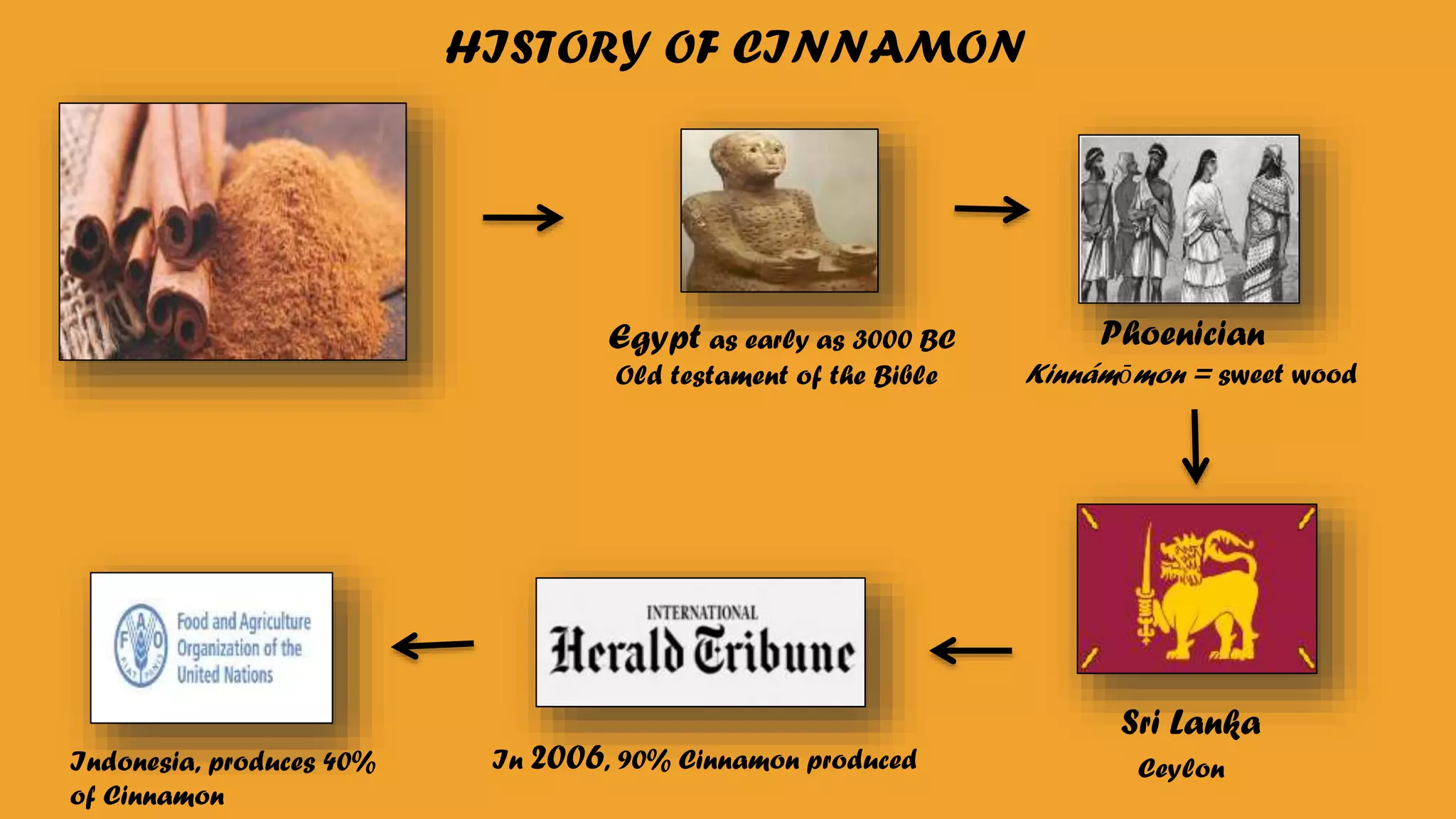 Cinnamon as an antibiotic | PPTX
