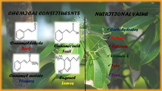 Cinnamon as an antibiotic | PPT