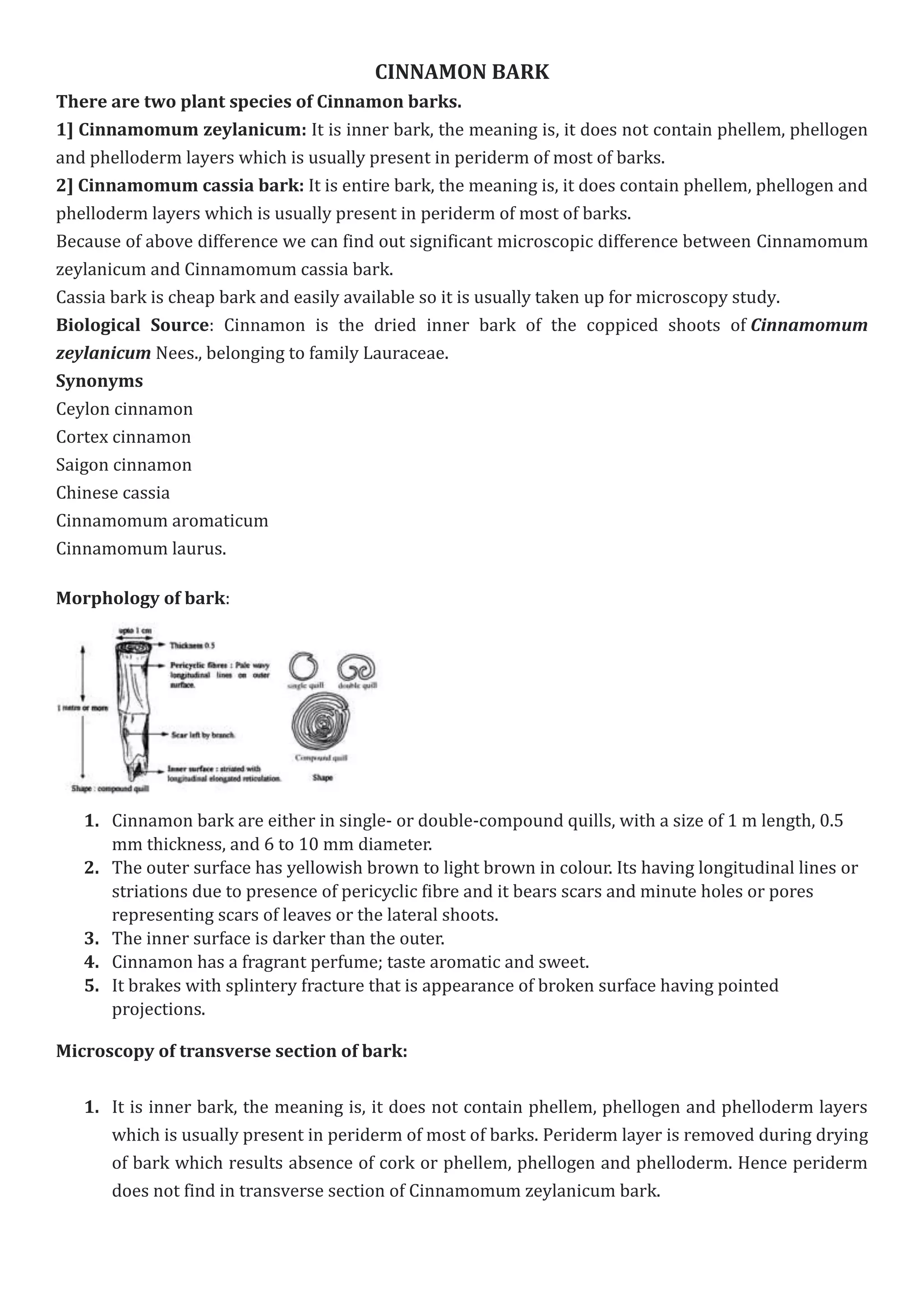 CINNAMON BARK microscopy.docx