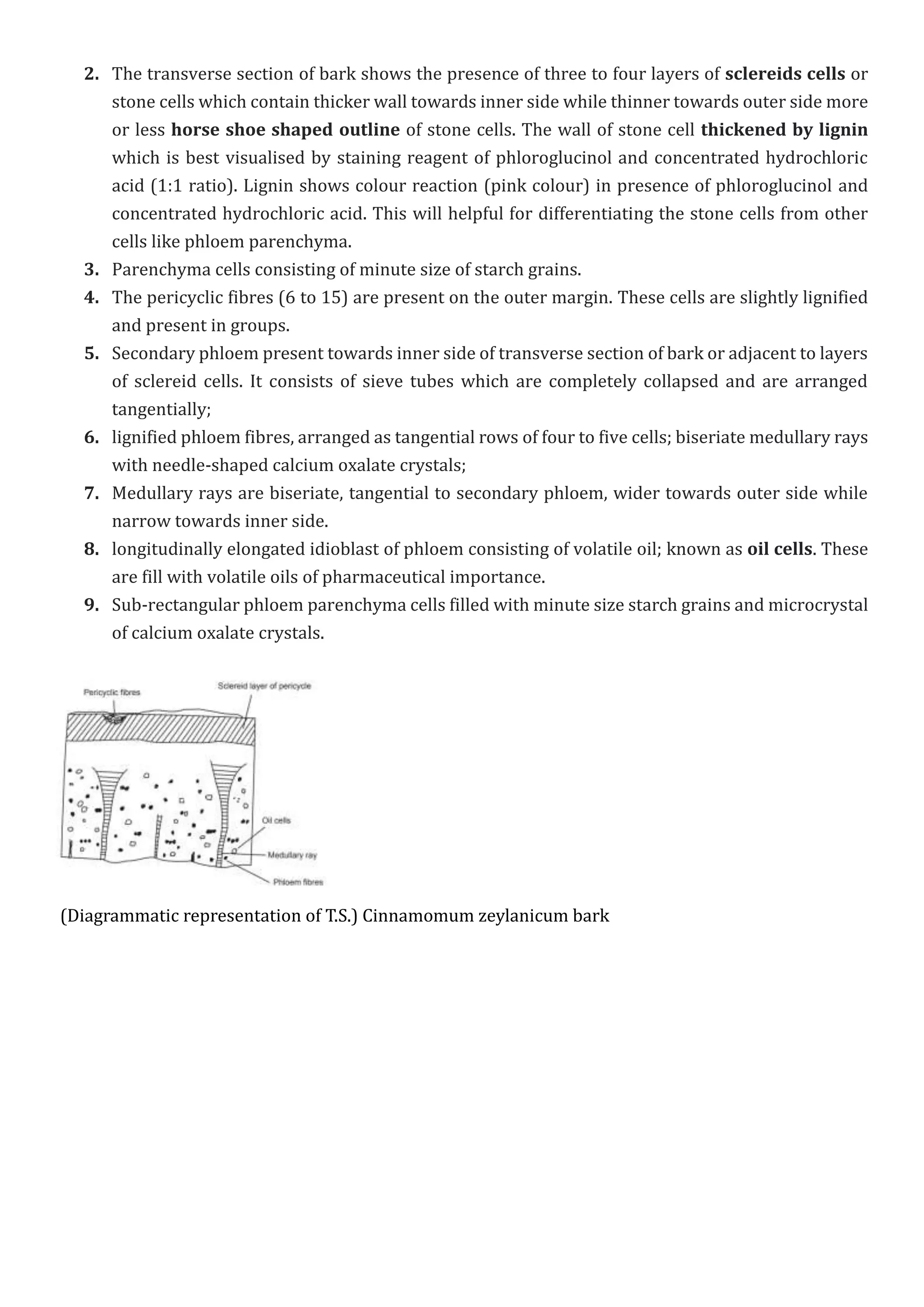 CINNAMON BARK microscopy.docx