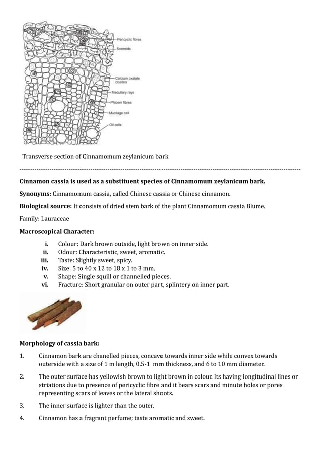 CINNAMON BARK microscopy.docx | Chemistry | Science